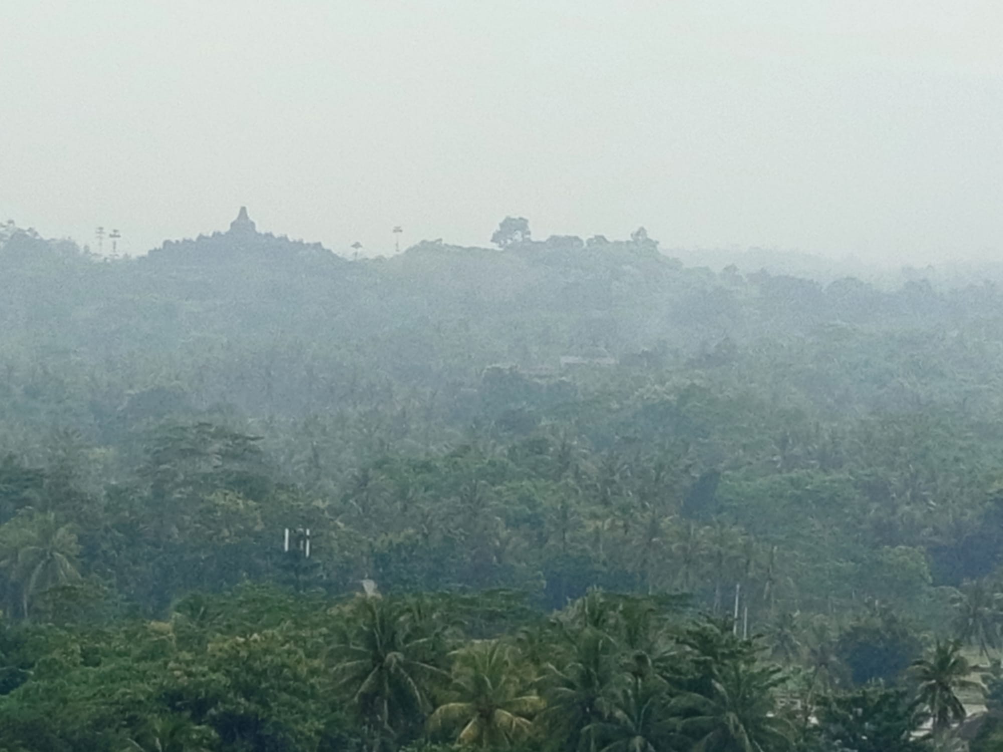 Harapan Hijau untuk Tahun Baru yang Hebat!