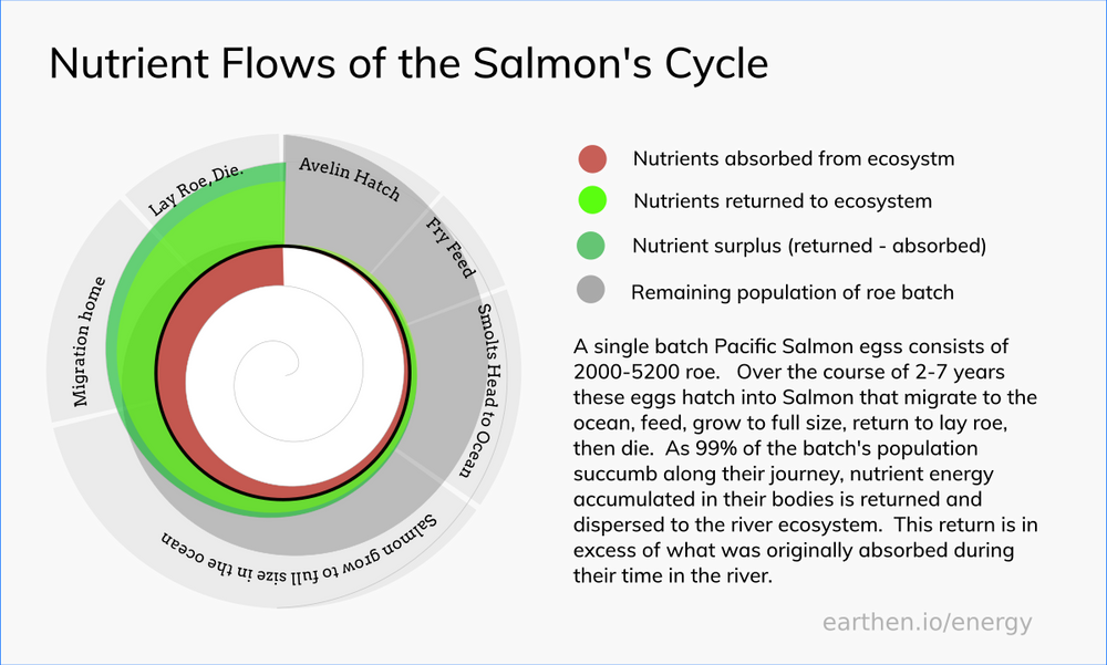 The Salmon's Spiral